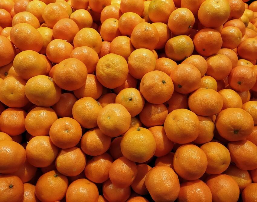 Самые вкусные и сладкие: 5 советов как выбрать мандарины