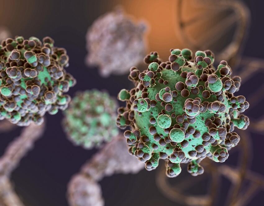 Stay Safe on Your Beach Vacation: Expert Tips to Avoid Health Problems ...